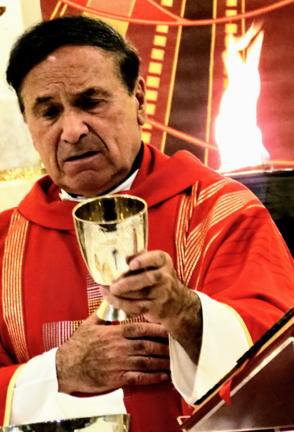 Jubilee Celebration of Father James Cesta